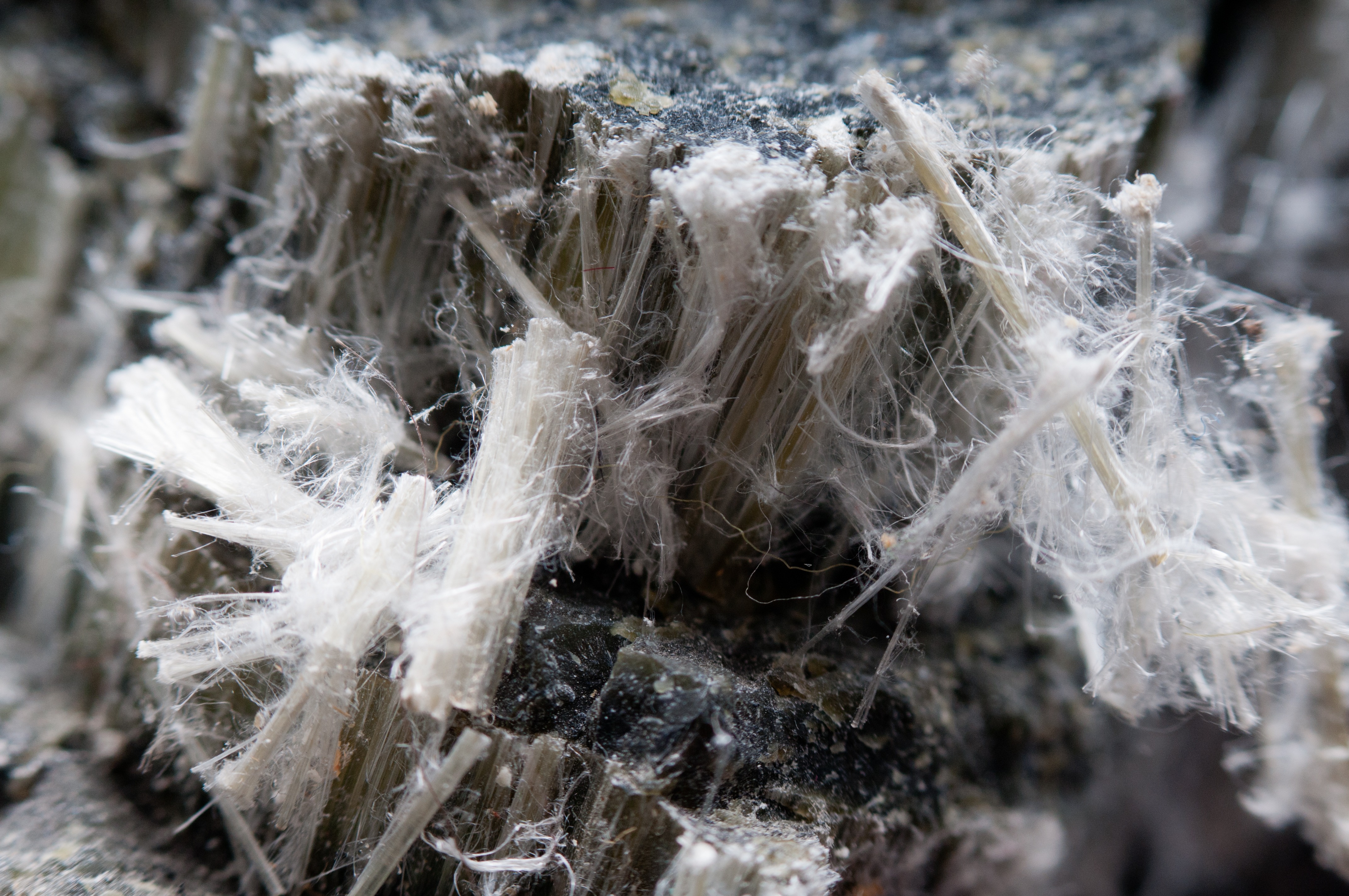 ESS Asbestos Series Part 1: The Difference Between Licensed ...